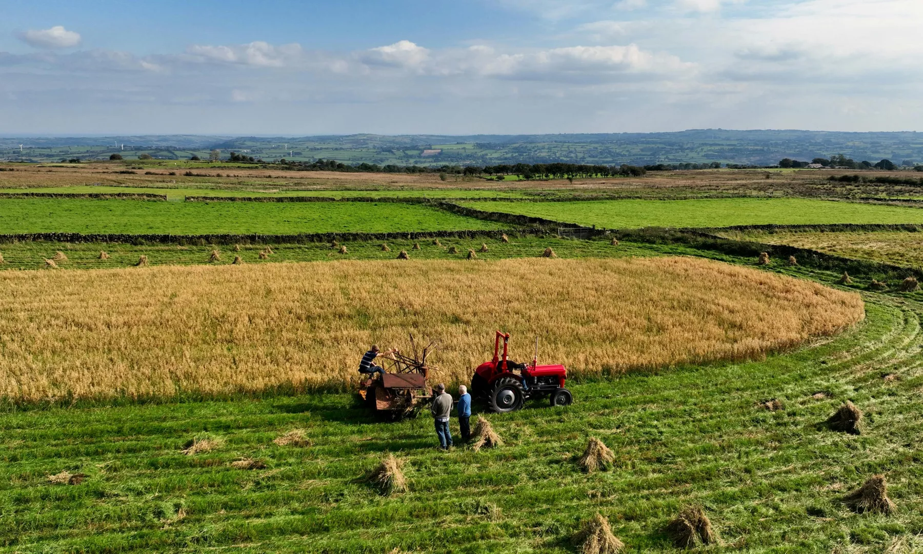 Land reform that works: What successful farmers can teach us | Econ3x3